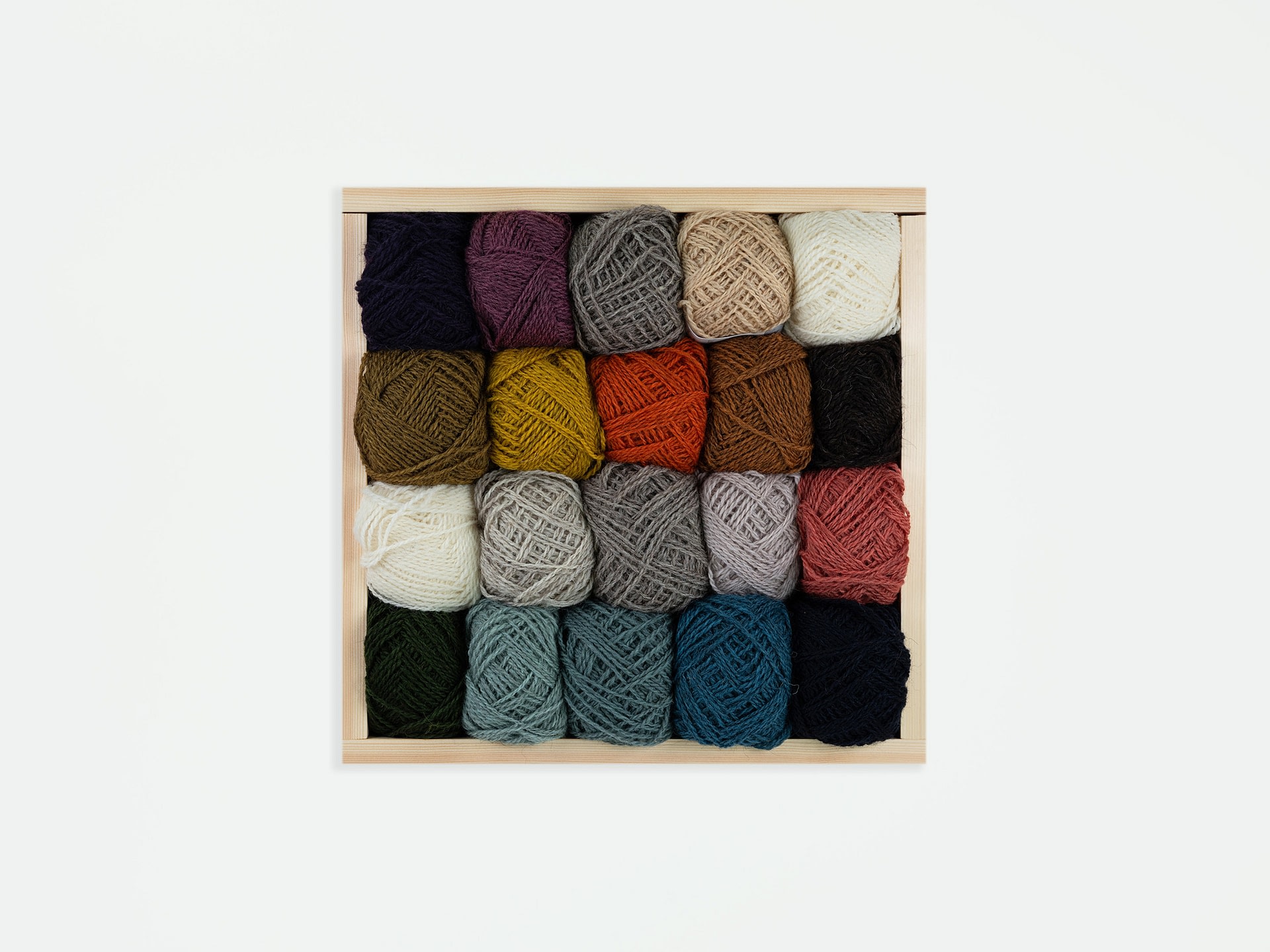 Yarn - Wild and Woolly