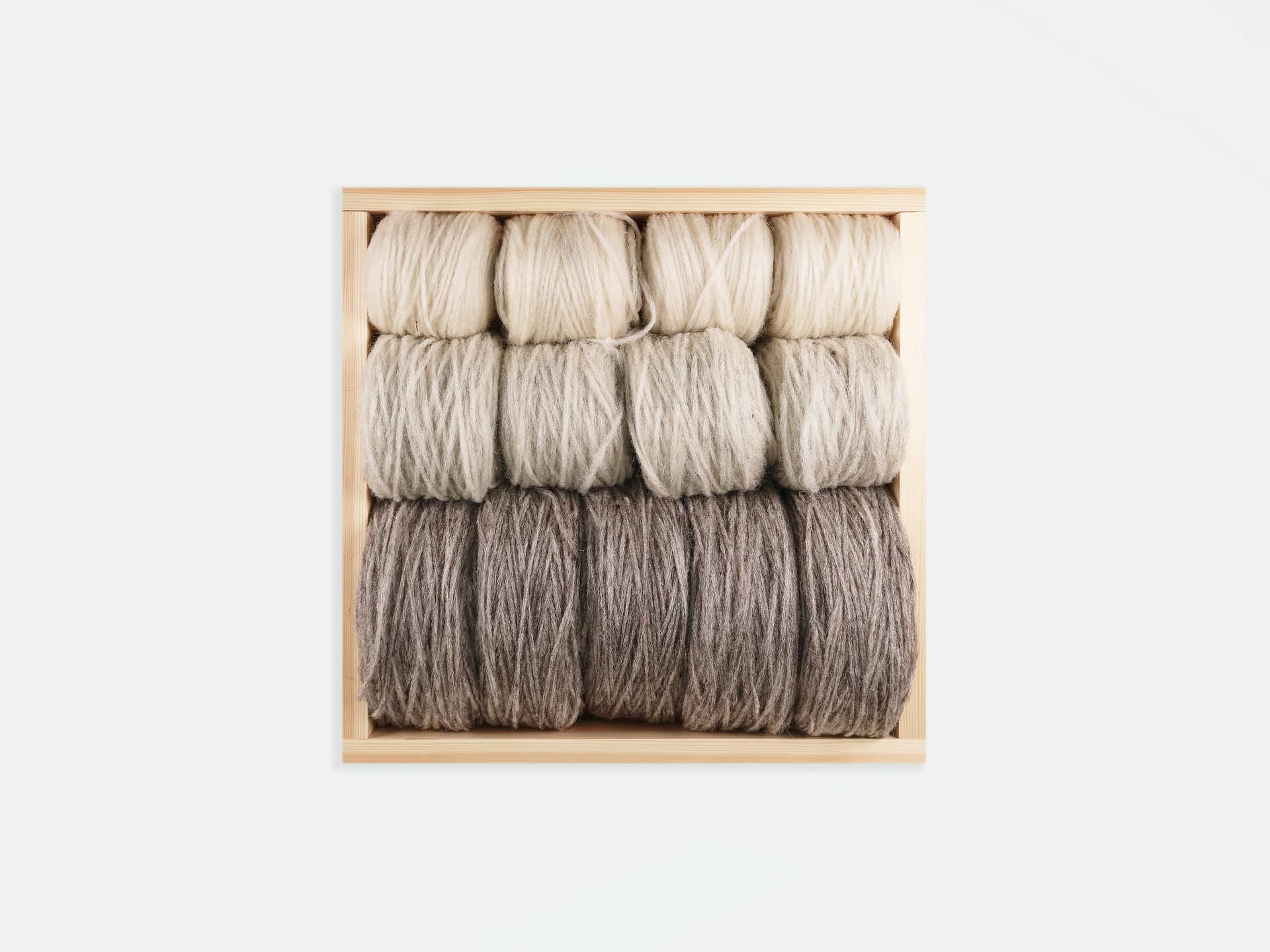 Yarn - Wild and Woolly